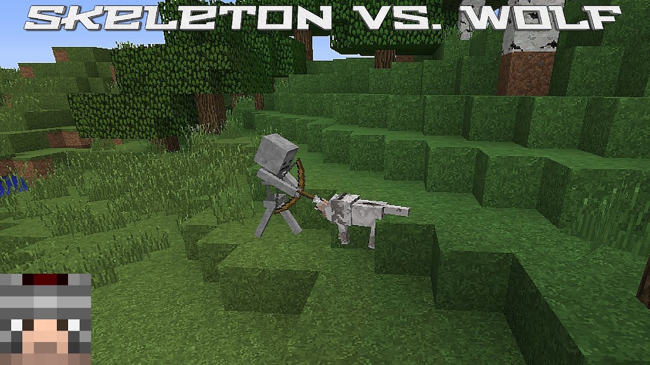 Minecraft: Skeleton vs. Wolf - YouTube