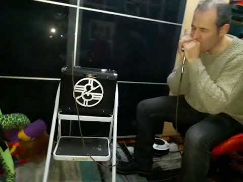 Epiphone Electar Tube 10 Custom para armónica - YouTube