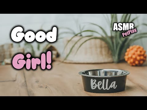Puppy knows how to roll over | Pet Play Roleplay | ASMR roleplay | Comforting