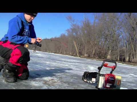 Fishing mania Bluegills of Destiny