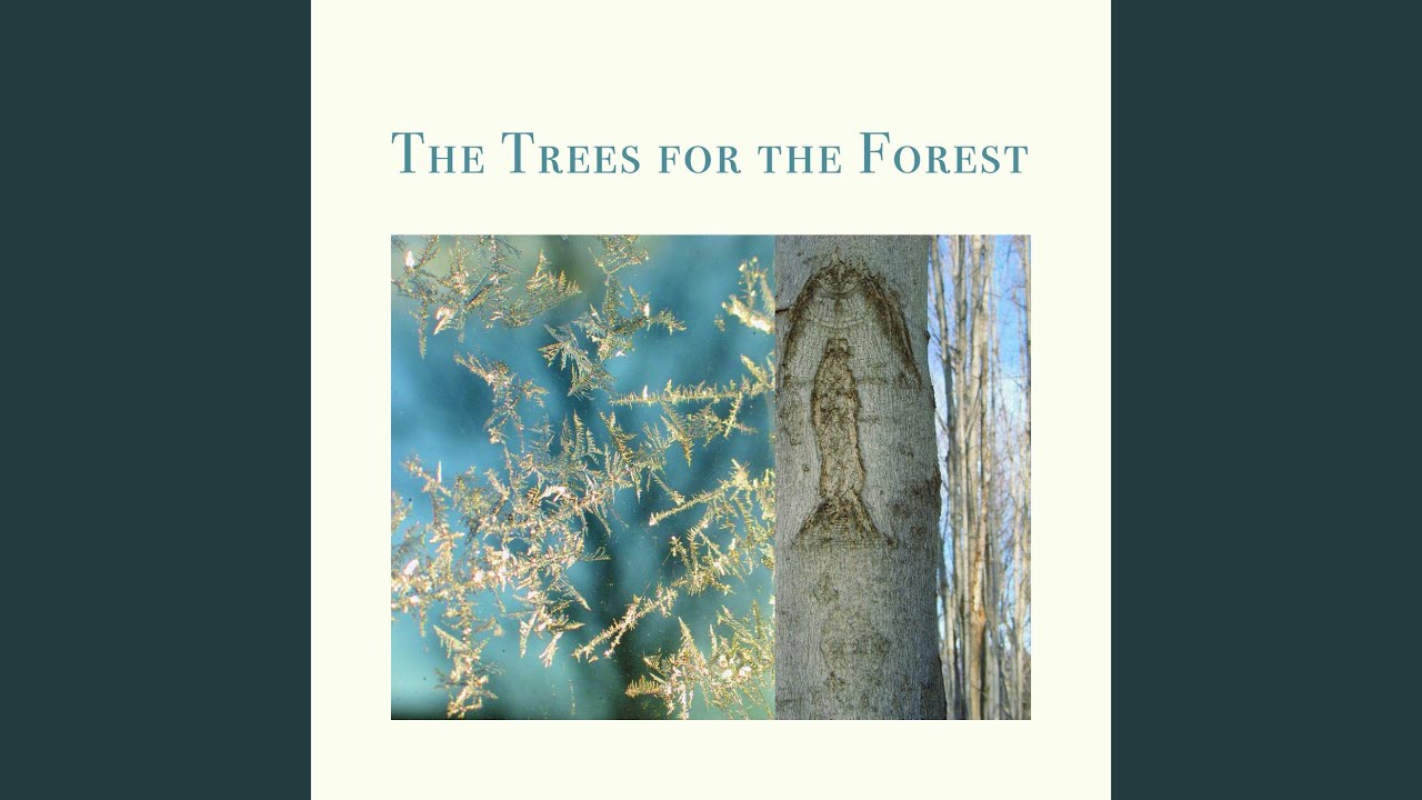 Let Me Hide in Your Cupboard (2012 Version) - YouTube