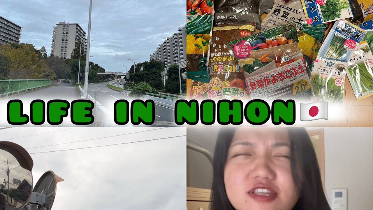A Daily|| Life in JAPAN 🇯🇵|| OYASUMINO HI🌸 - YouTube