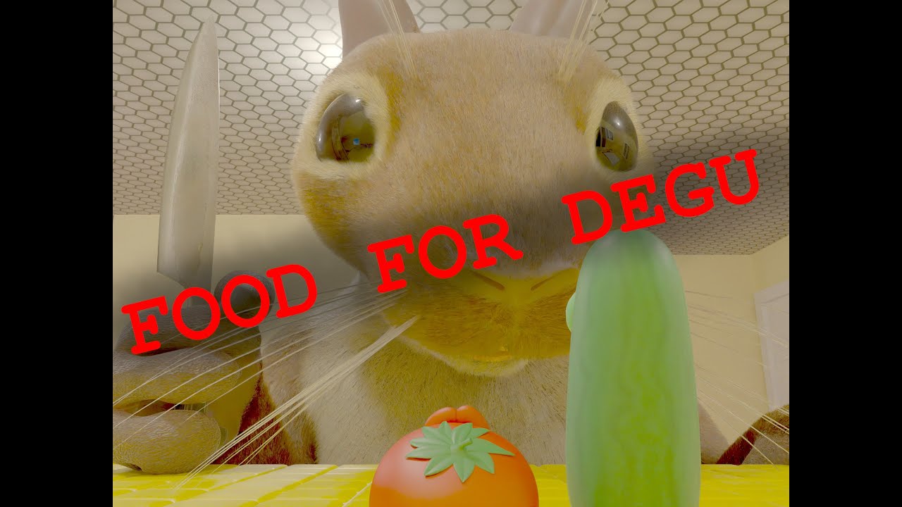 Food For Degu - YouTube
