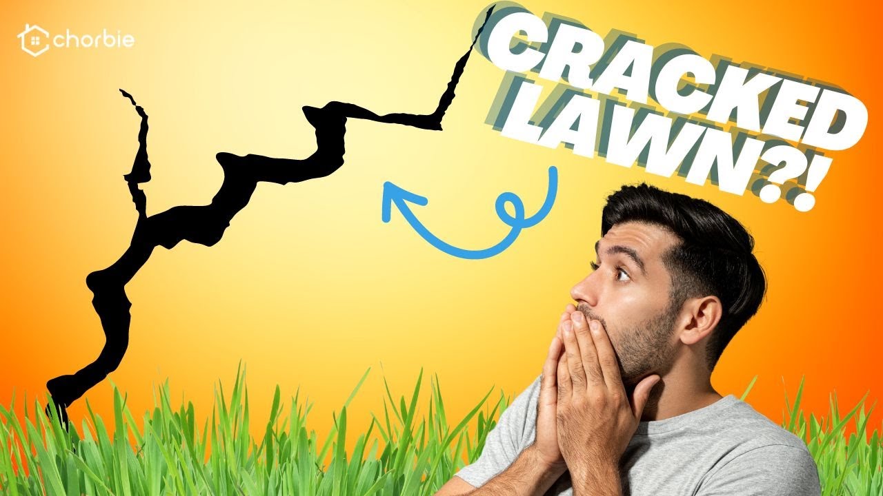 How to Fix a Cracked Lawn - YouTube