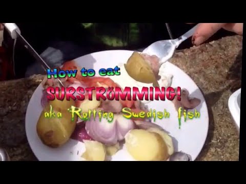 How to eat surströmming aka rotten fish! - YouTube