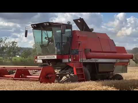Massey Ferguson 27 harvesting Skyfall Milling Wheat. "Licenced to Mill ...