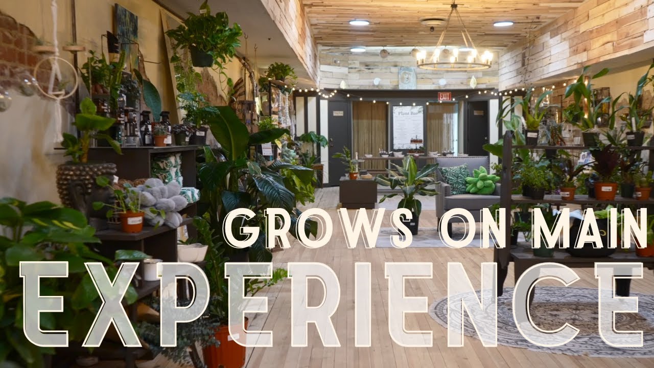 Butler County Shorts | Grows on Main - YouTube