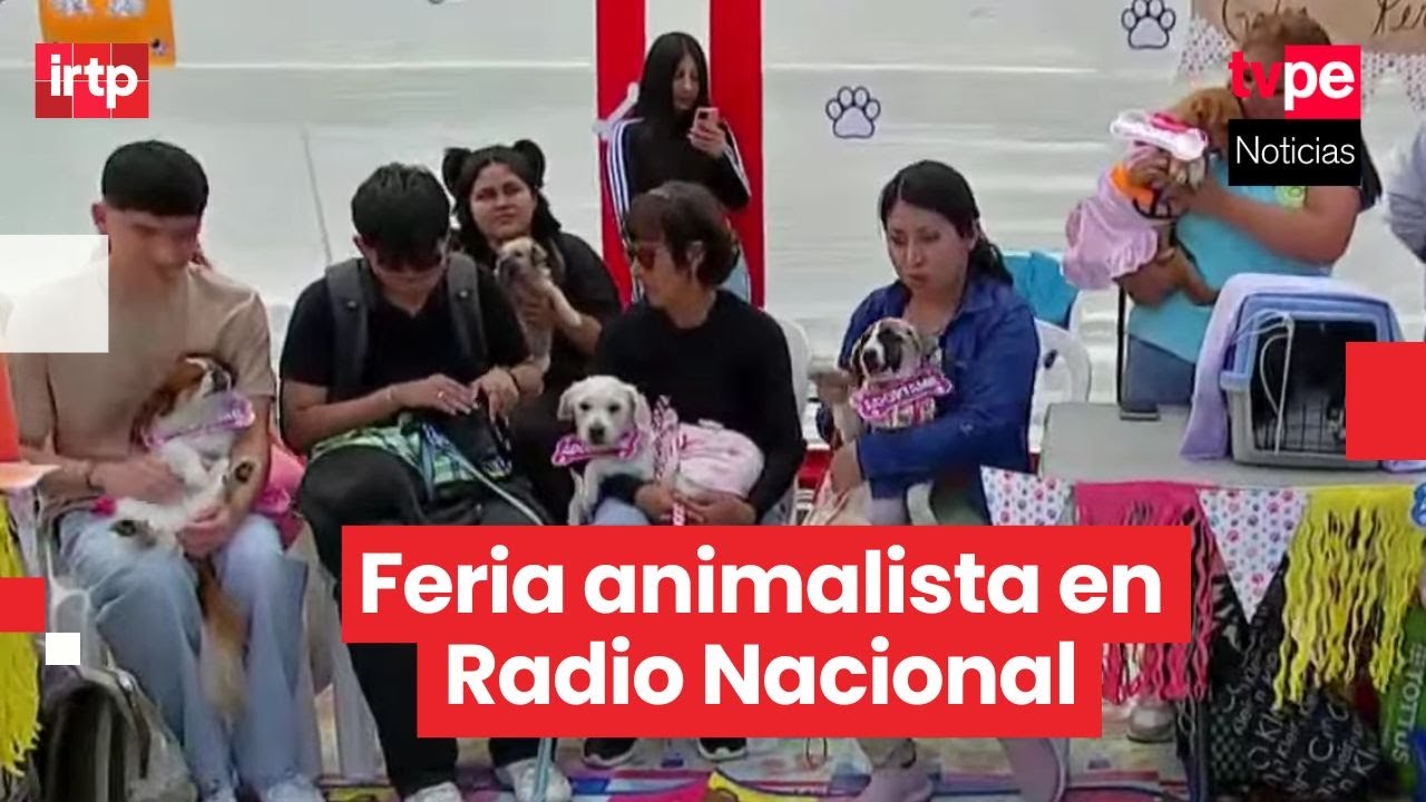 Huellitas Conectadas: servicios gratuitos y adopciones en la feria ...