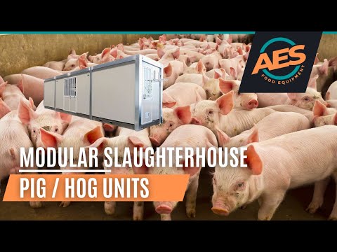 Pig Modular Slaughterhouse from AES Food Equipment