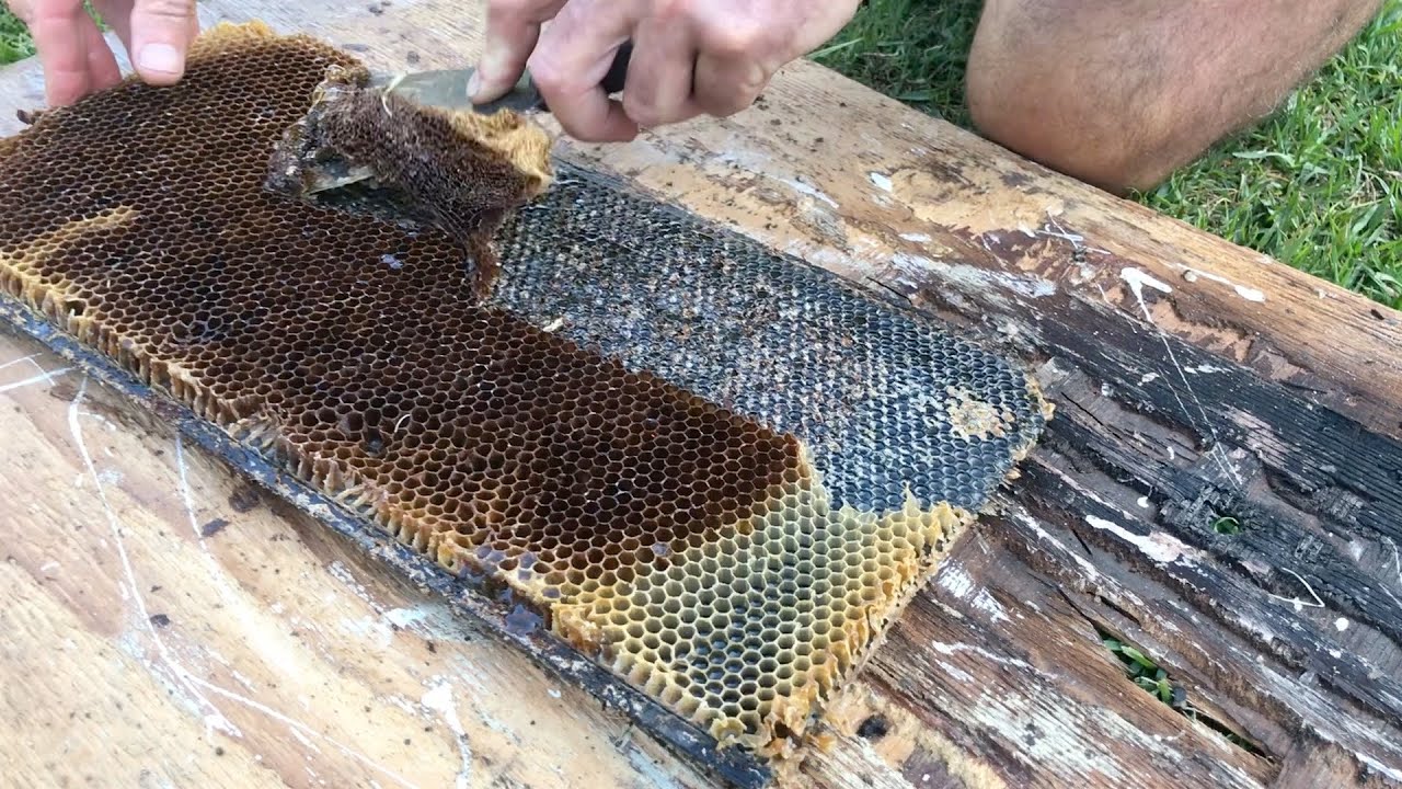 Beekeeping- Cleaning plastic foundation the easy way @ Les Gold - YouTube