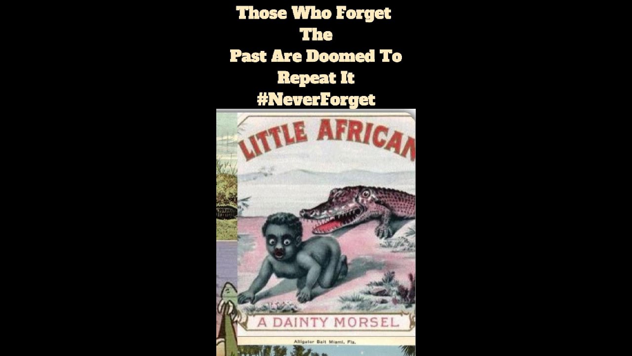 Alligator Bait : Those Who Forget The Past Are Doomed To Repeat It ...