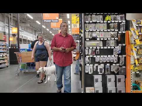 Yuki Day 6 update - YouTube