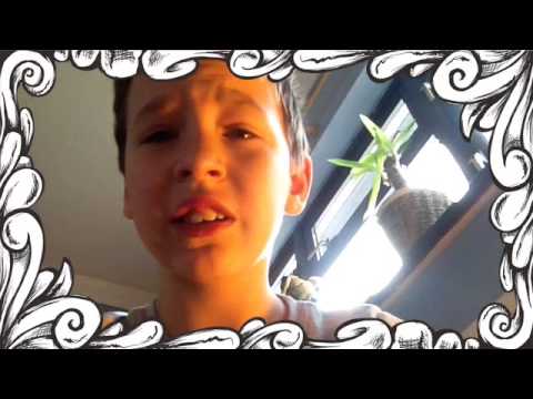 Video fx live effects all - YouTube