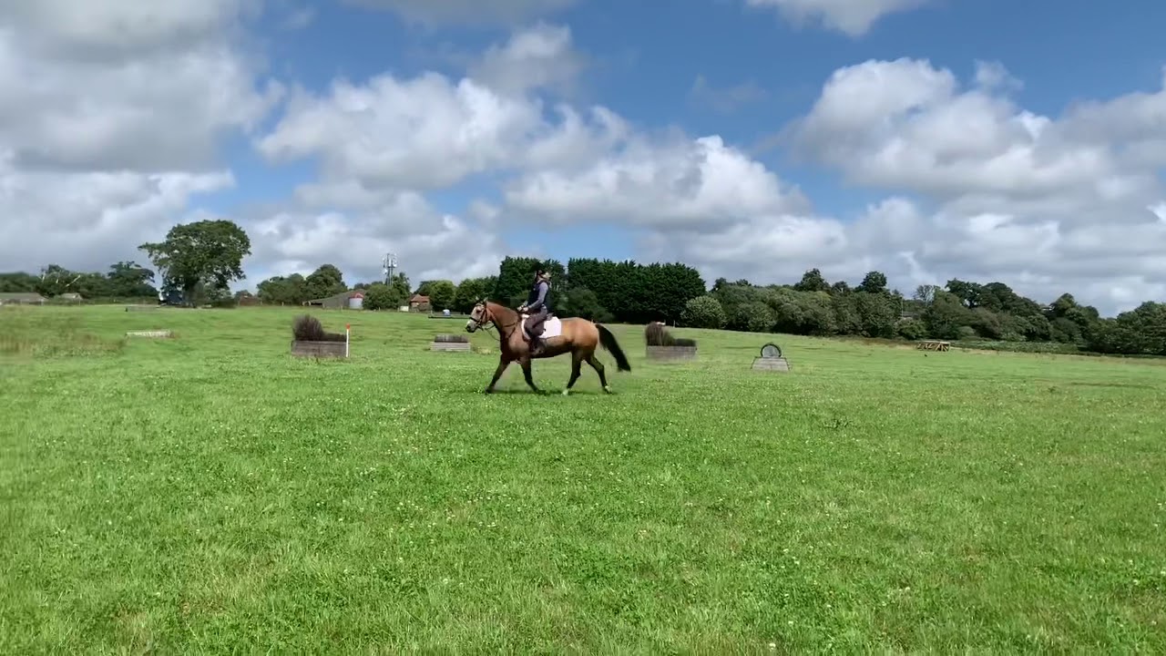Finn Flatwork - YouTube