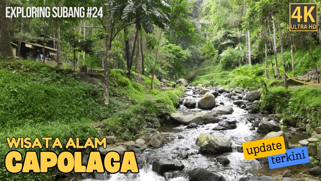 WISATA ALAM CAPOLAGA | Tempat rekomended untuk Camping | Exploring ...