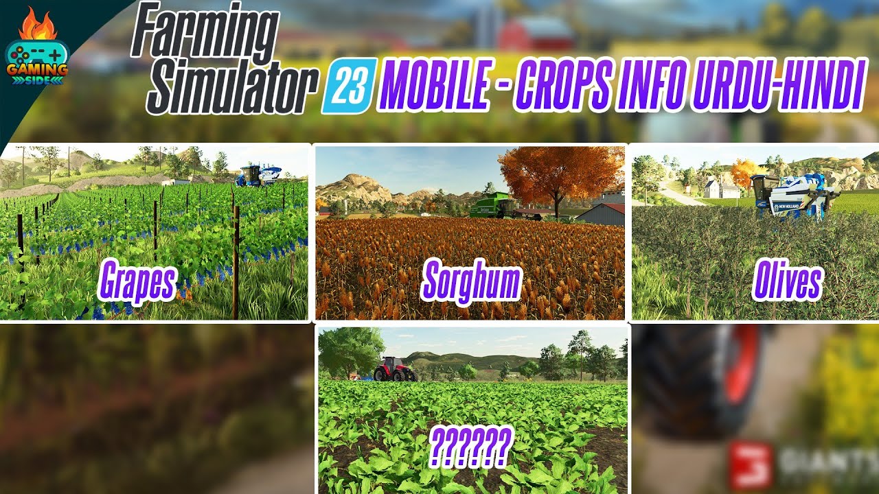 Farming Simulator 23 - All 14 (+1 Hidden Crop) Crops Explained with ...