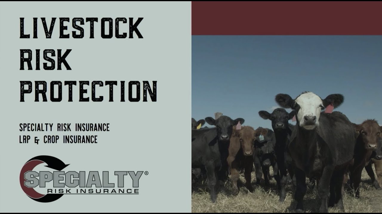 Four State Farm Show LRP Event with Special Guest Corbitt Wall - YouTube