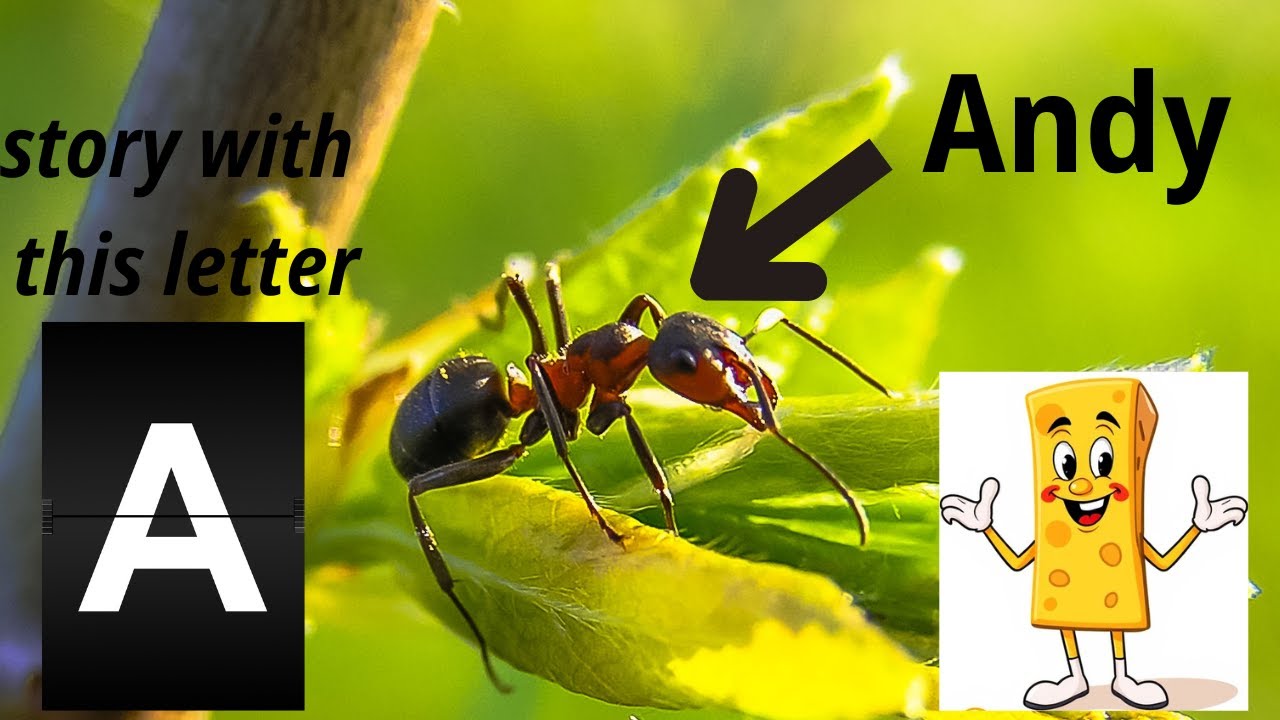 The Adventures of Andy the Ant! 🐜🐜 *kids story with letter A*🐜🐜 - YouTube