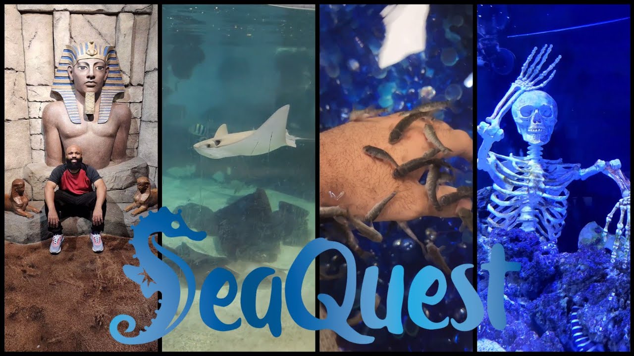Nature Nate at SeaQuest Aquarium Animal Exhibit 🦈 🦦 🦘 - YouTube