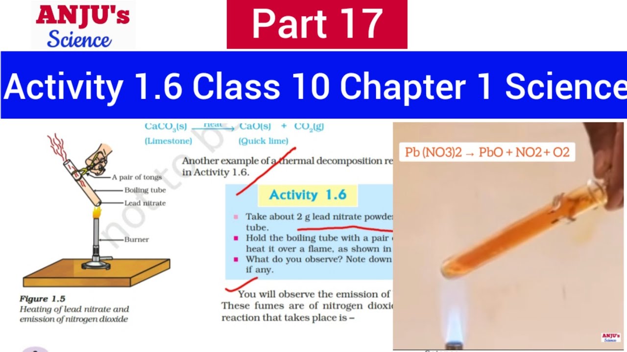 Activity 1.6 Class 10 Chapter 1 Science #anjus_science - YouTube