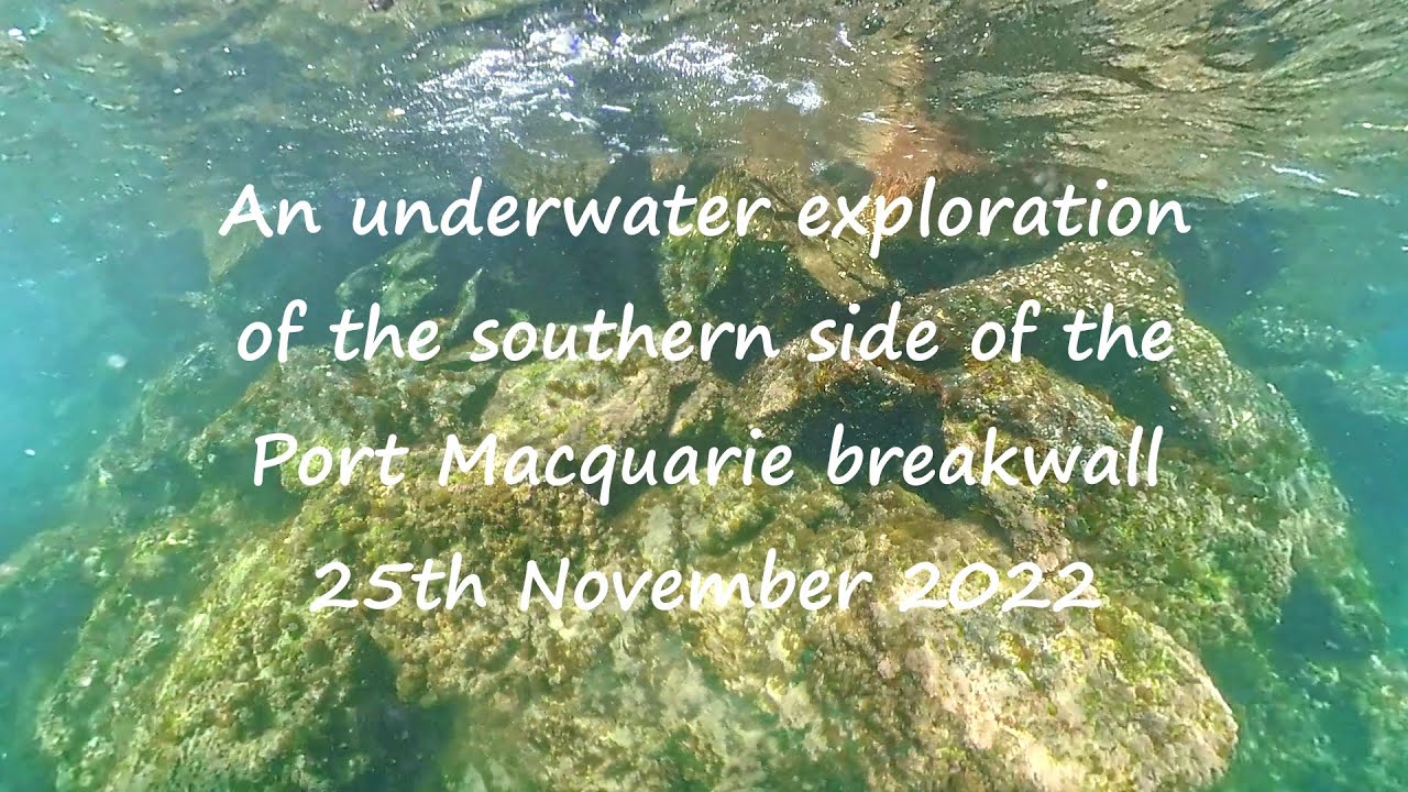 An underwater exploration of the Port Macquarie breakwall - 25th ...
