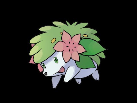 Mythical Pokémon Shaymin - JULY 1–24 (+Sky Forme Guide) - YouTube
