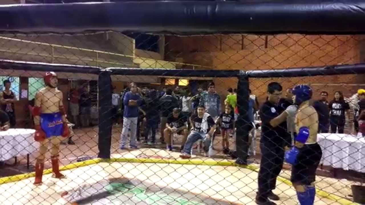 Carlos La Vibora Cabral vs Alesandro Ocampos... Muaythai - YouTube