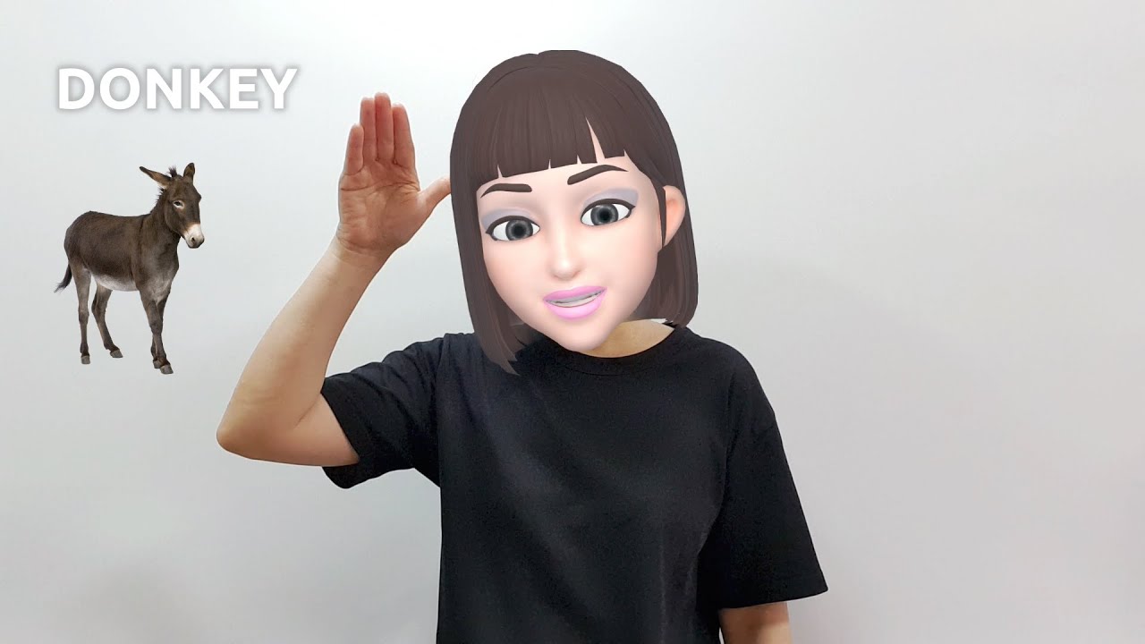 American Sign Language (ASL) Lesson: Donkey - YouTube