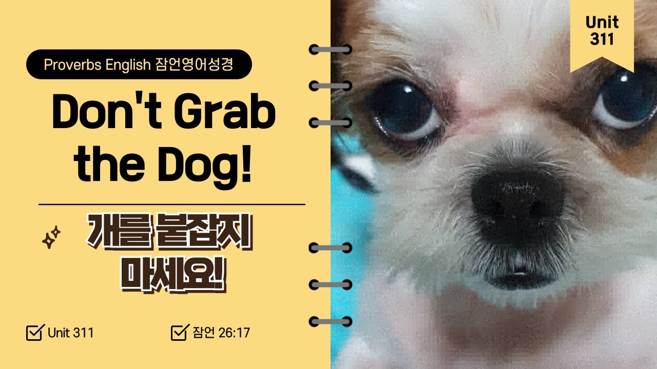 Unit 311. Don't Grab the Dog! (개를 붙잡지 마세요!) 잠26:17 / 잠언영어성경(Proverbs ...