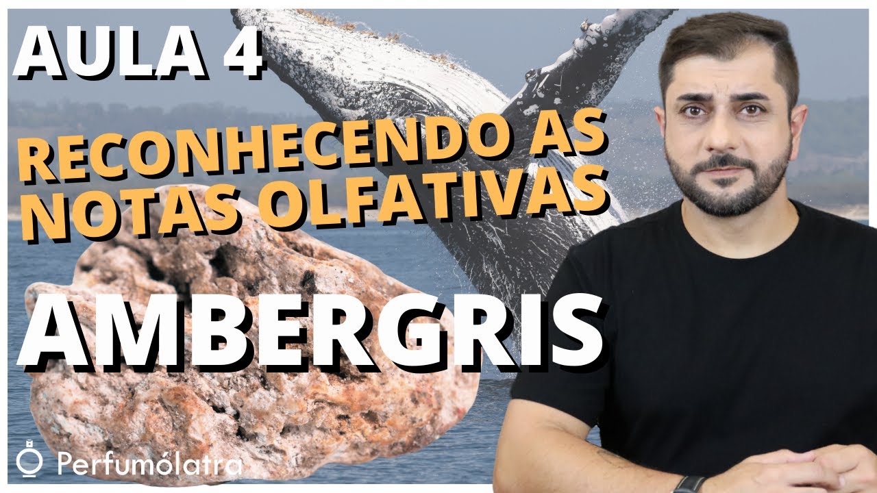RECONHECENDO NOTAS - AULA 04: AMBERGRIS - YouTube