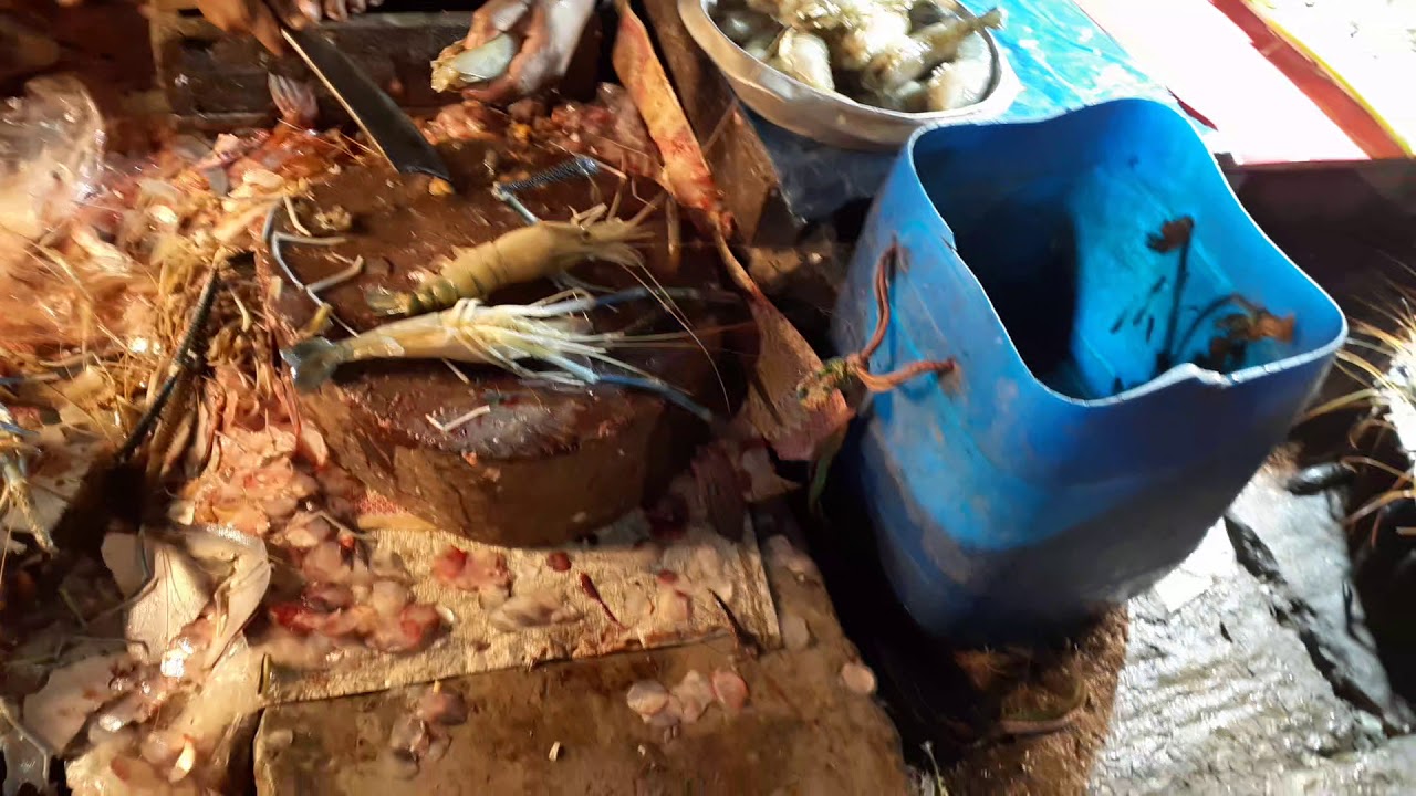 Amazin live fish cutting skills in fish market 2021fastest sigdi fish ...