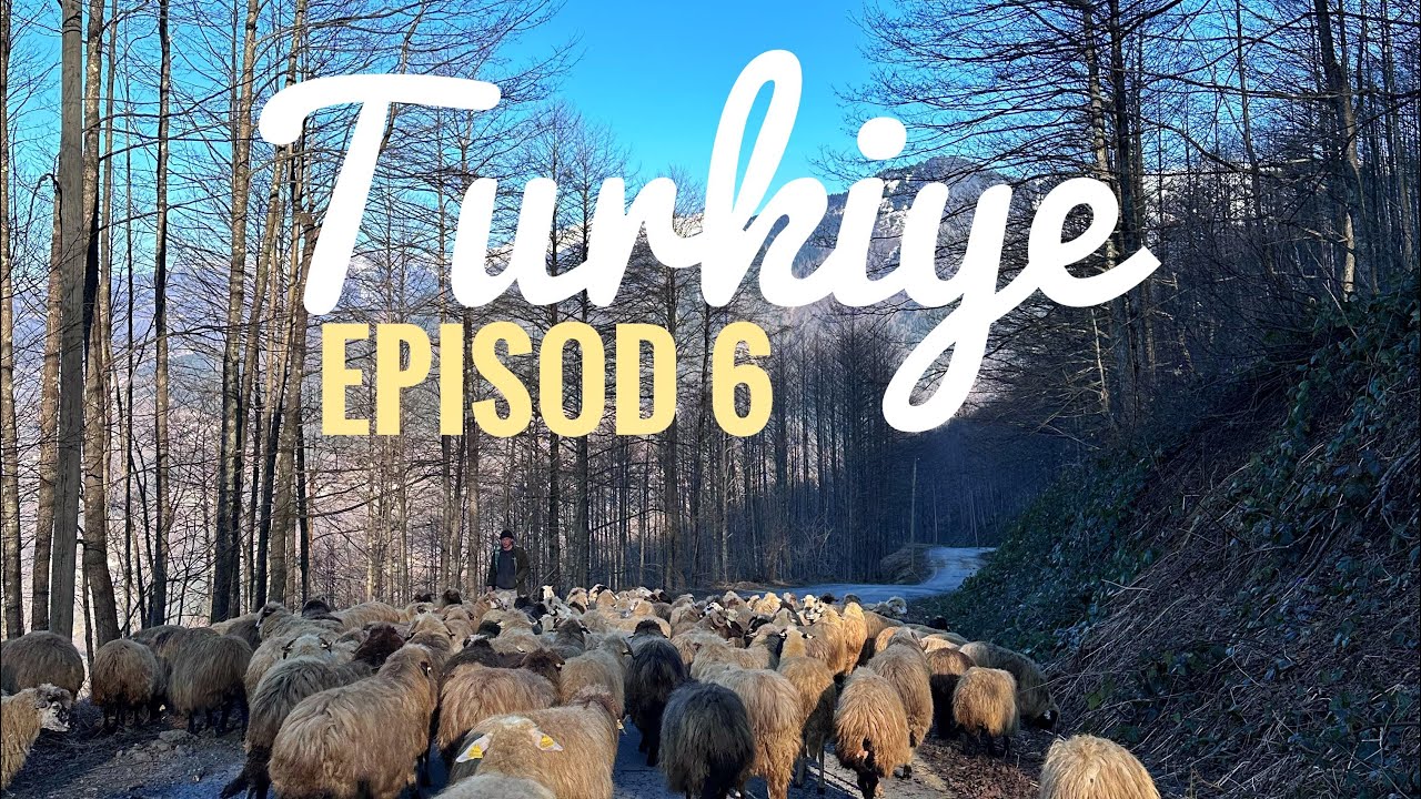 Episod 6 : Trip to Turkiye 🇹🇷 - YouTube