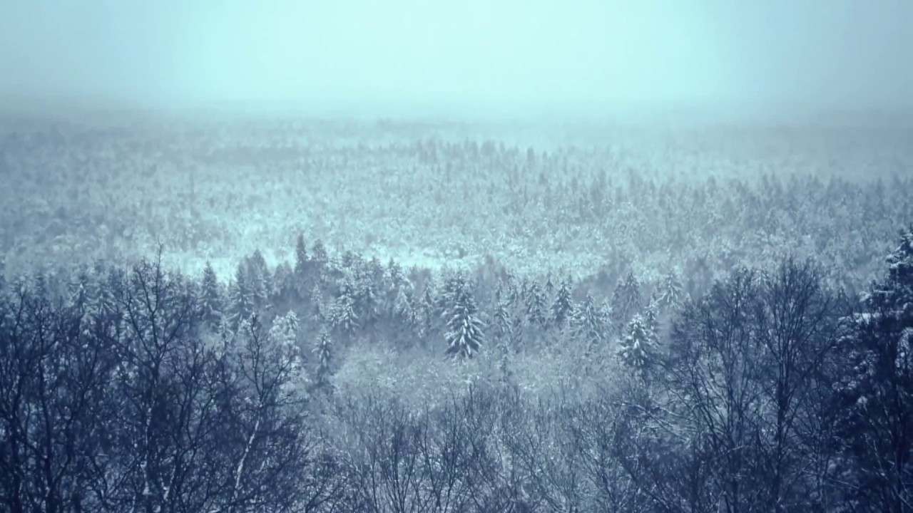 Ziema Latvijas laukos / Winter in the rural Latvia - YouTube