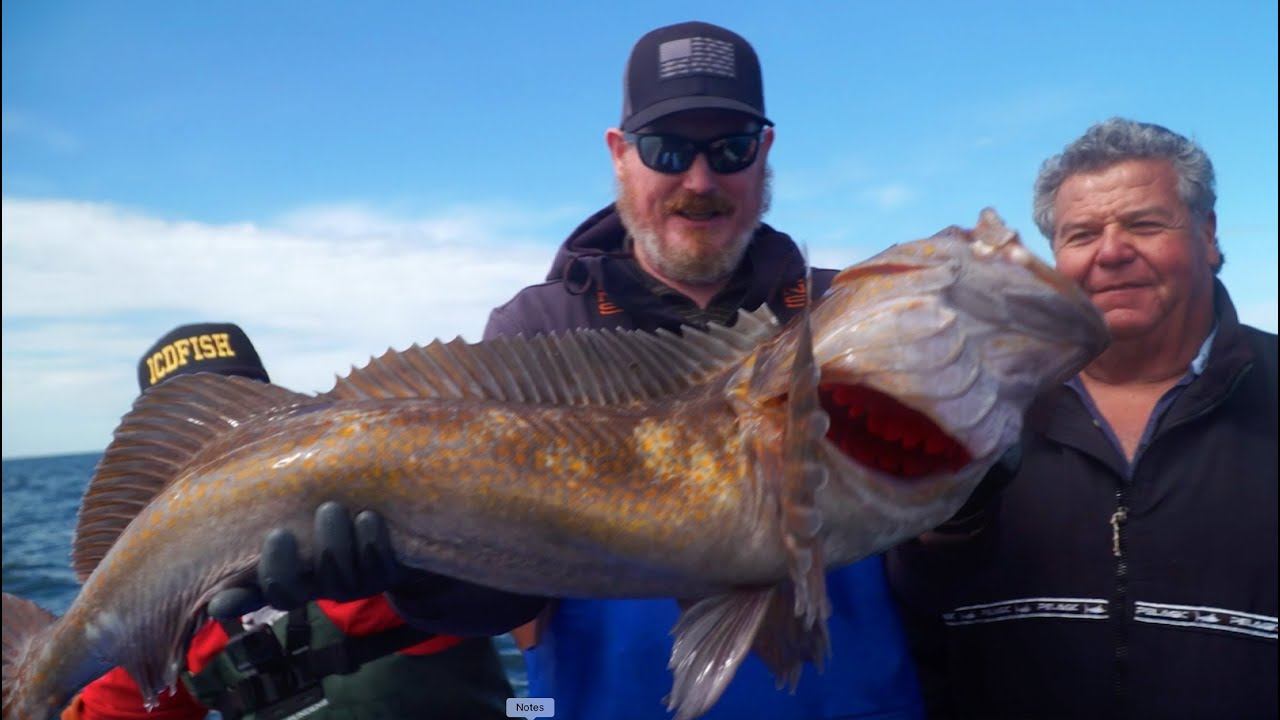 Huge Alaskan Lingcod & More - YouTube