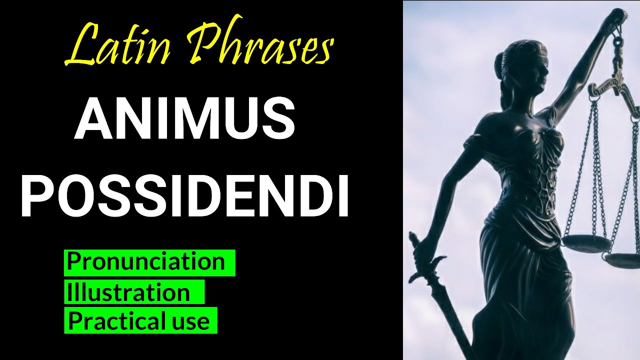 ANIMUS POSSIDENDI | Meaning of ANIMUS POSSIDENDI | Practical use ANIMUS ...