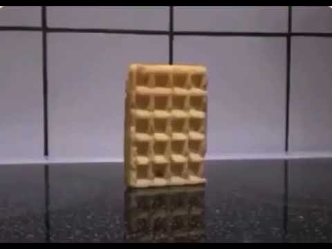 Waffle falling over
