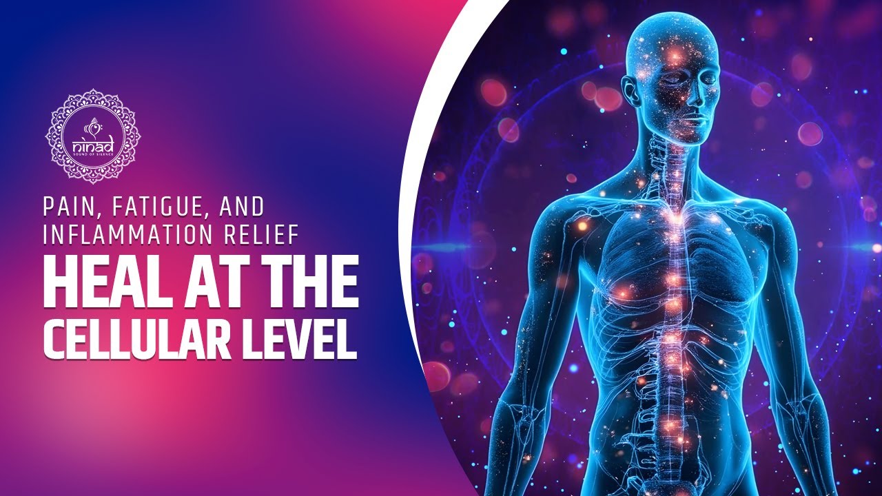Heal at the Cellular Level for Pain, Fatigue, and Inflammation Relief ...