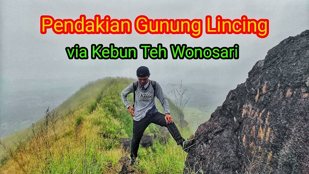 #Part 1, Review full, Pendakian Gunung Lincing, via Kebun Teh Wonosari ...