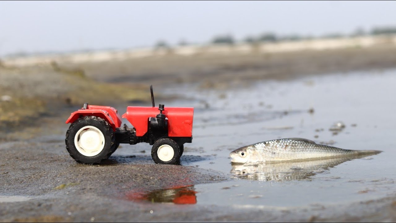 Fish🐟Helping Cartoon Video 2022 | Tractor And Fish🐟Cartoon Video ...
