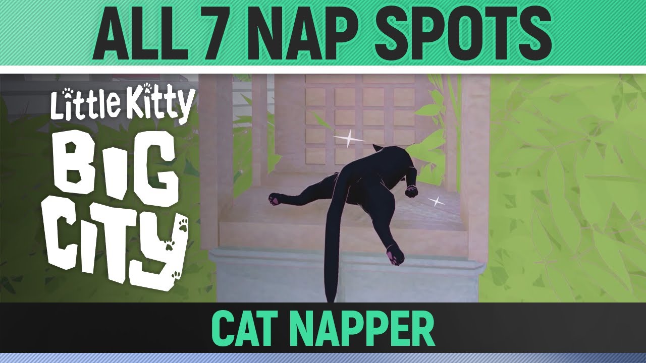 Little Kitty, Big City - All 7 Nap Spot Locations - Cat Napper ...
