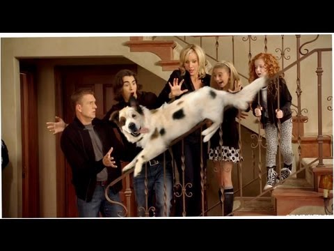 Dog with a Blog Theme Song - YouTube