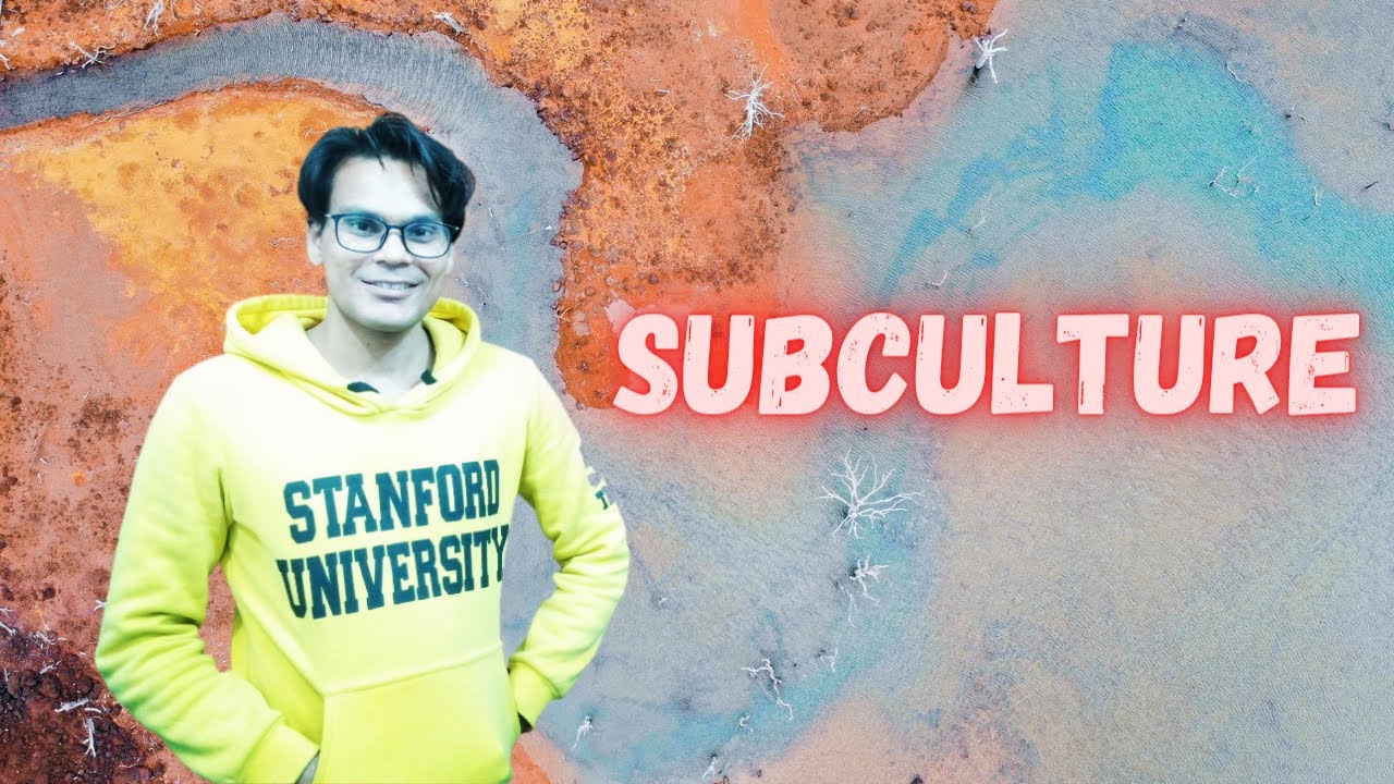 Subculture | Culture | Sociology Lectures | Lectures by Waqas Aziz ...