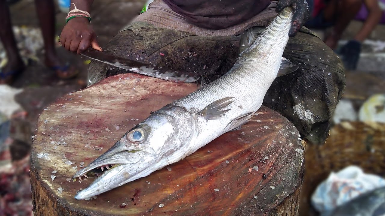 Lenthy Sheela Fish Cutting &Chopping in Indian fish Market - YouTube
