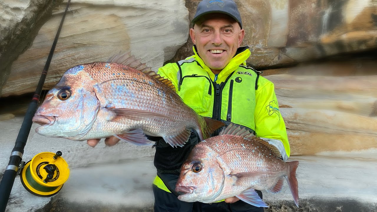 Snapper | Hot Red Action Off The Rocks - YouTube