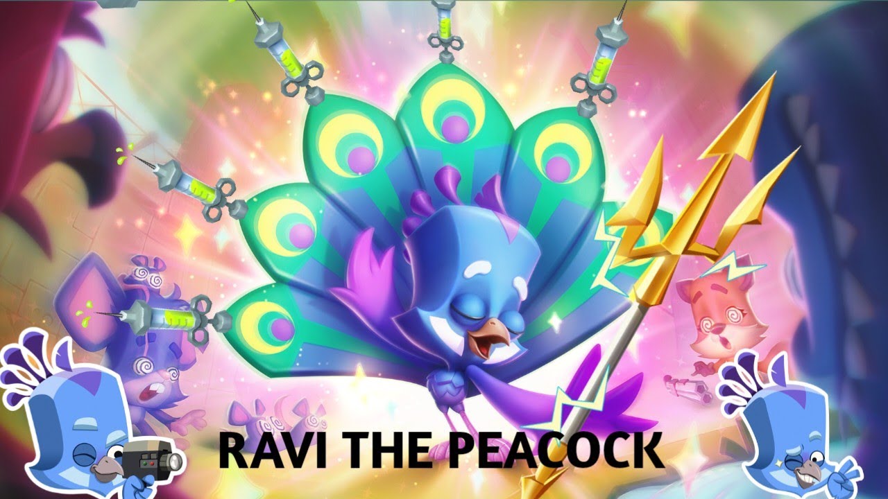 *Ravi The Peacock* New Character Gameplay | ZOOBA - YouTube