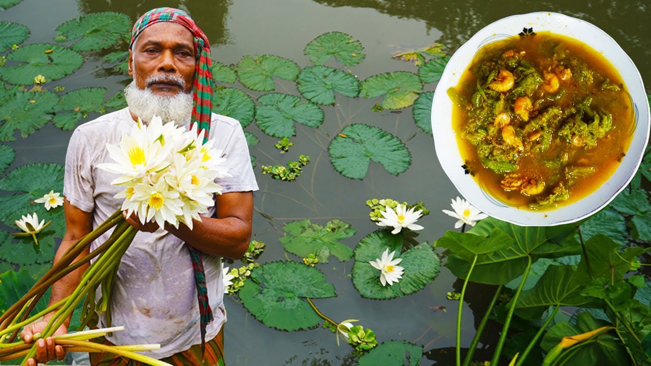 Shapla Recipe Village | Traditional Village Food Recipe | Water lilies ...