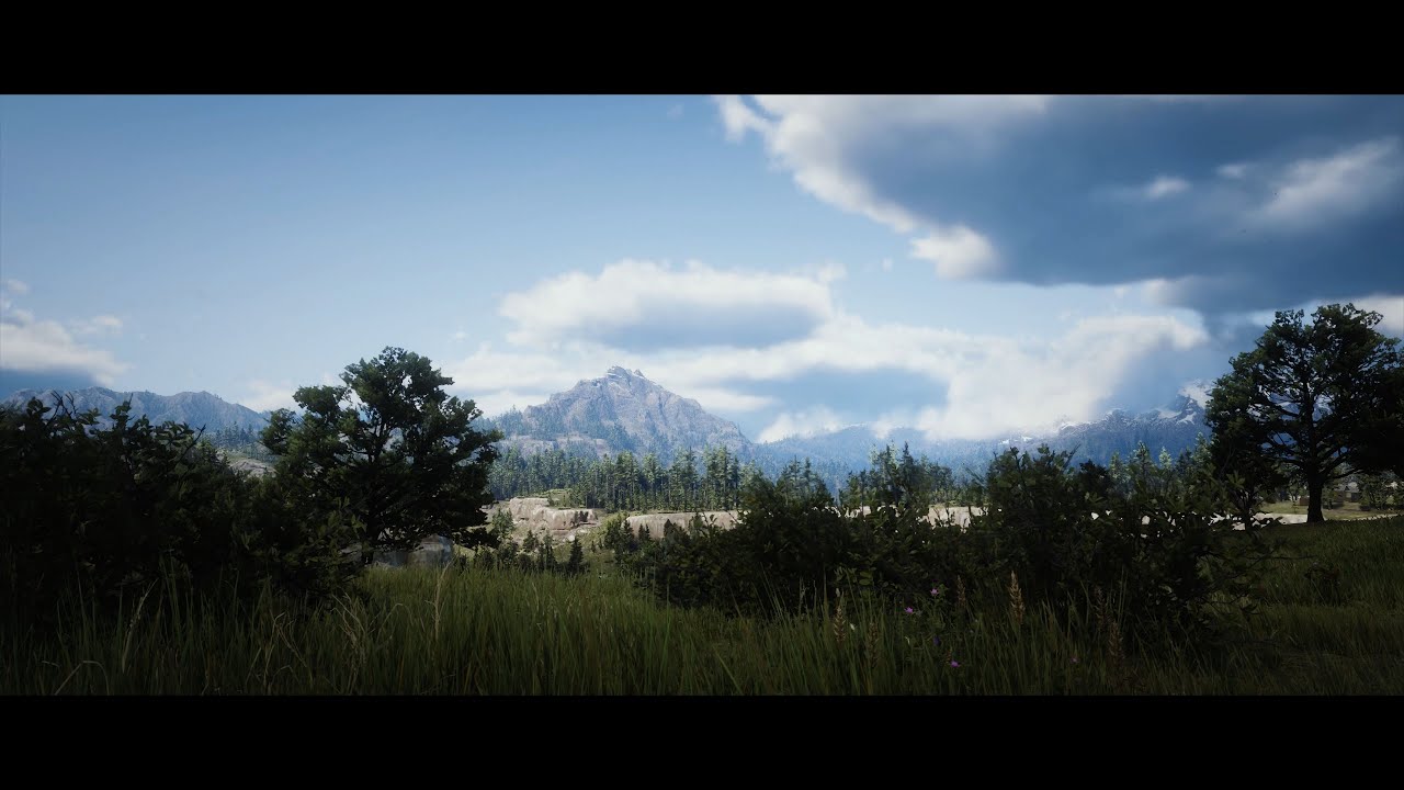 Red Dead Redemption 2 PC | Kodak Cinematic Film Look | GTX 1080 - YouTube