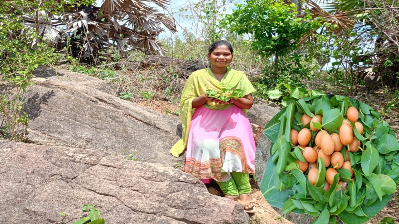 నెక్కర పండ్లు||Nekkara pandlu||Rare Forest Fruits in agency area# ...