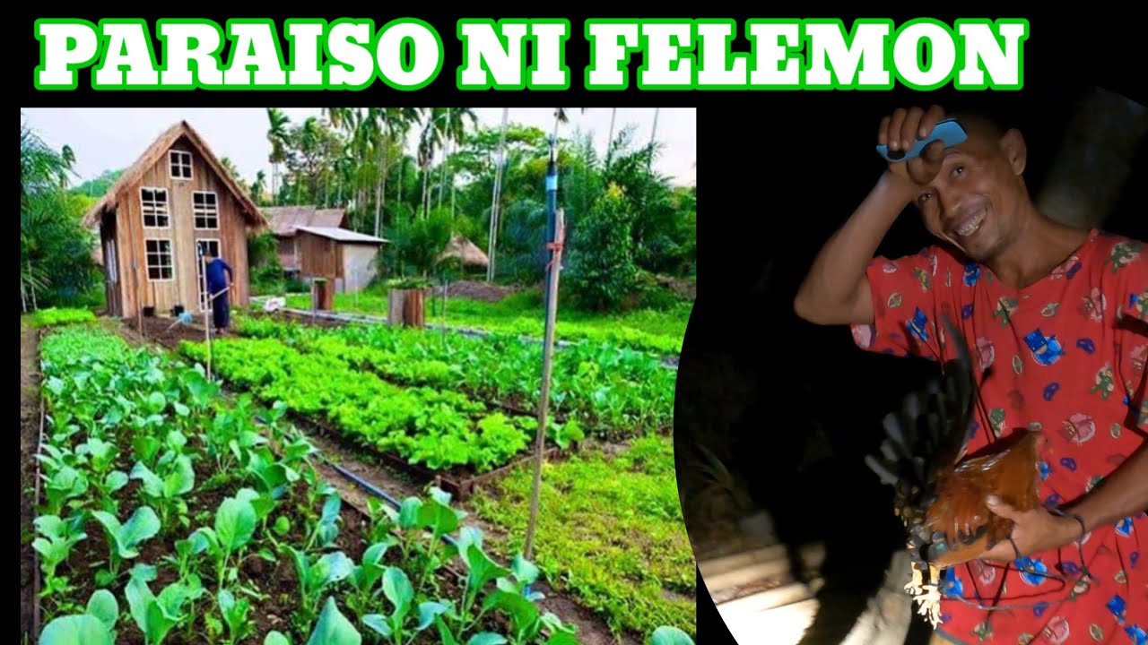 Gumala kami sa mga taniman ni felemon at may Nakita kaming malaking ...