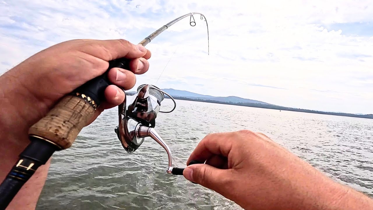 When Big Fish Want Small Lures… MONSTER Flatty Smash! - YouTube